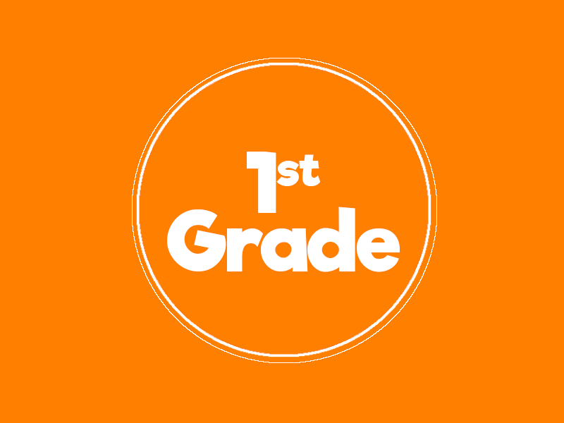 Curriculum
